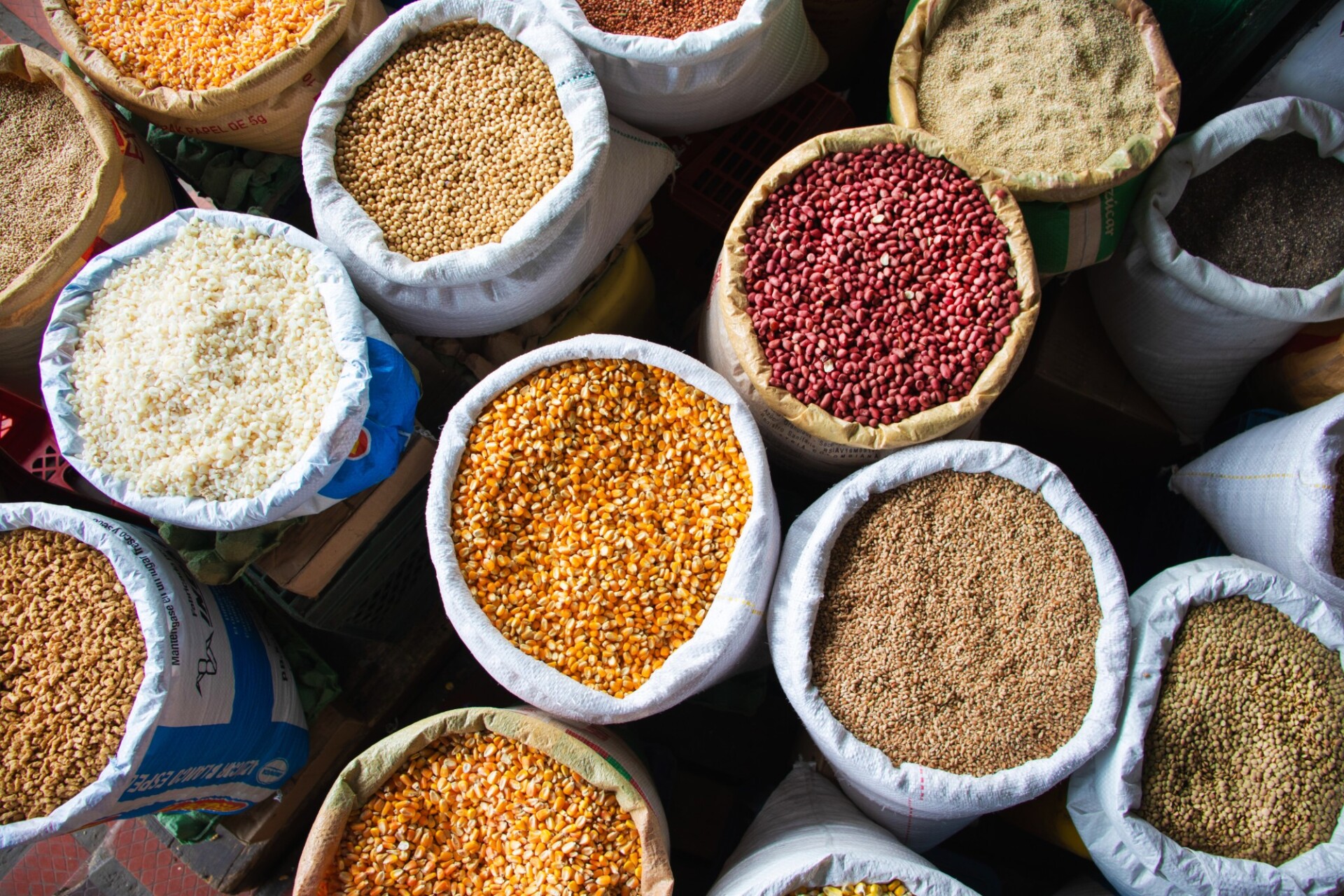 Ready to Eat (RTE) Legumes, Rice, and Grains - SunLeaf Foods